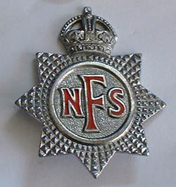 Local Fire services in the Banstead Area